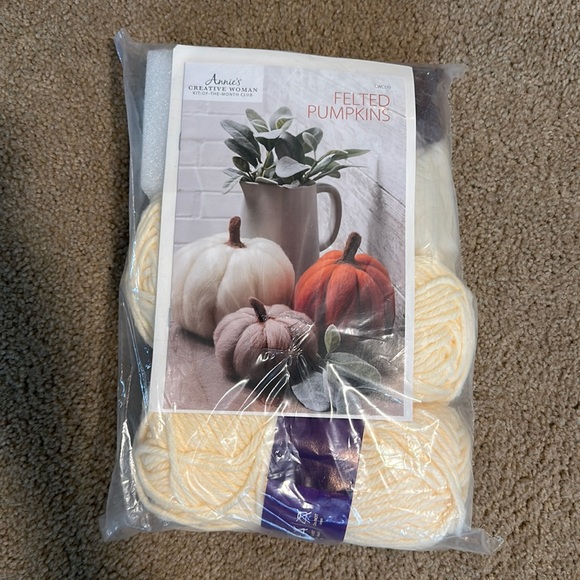 Art | Nip Annies Craft Kit Monthly Felted Pumpkins | Poshmark